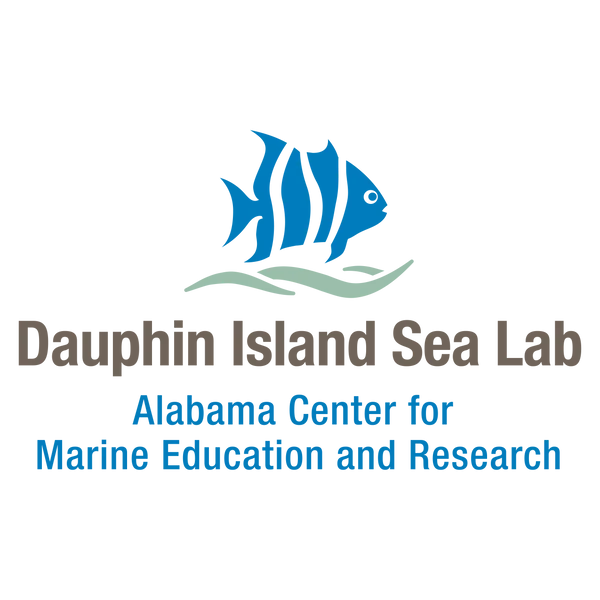 Dauphin Island Sea Lab – Teen Summer Camps & Programs